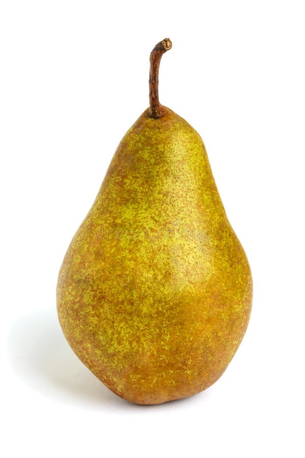 A Large Yellow Brown Pear Stands Straight Isolated on a White ...