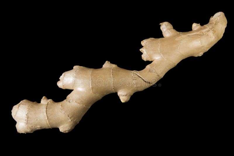 Large Yellow Ginger Root on Black Isolated Background Stock Image ...