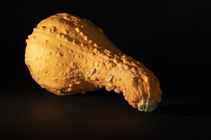 Large Yellow Squash Reflecting on a Black Background Stock Photo ...