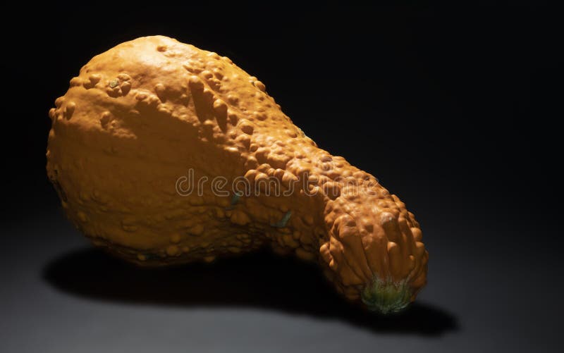 Large Yellow Squash on a Black Surface with a Drop Shadow Stock Photo ...