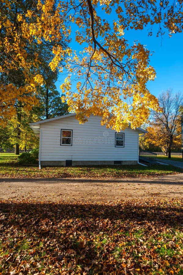 Large Yellow Tree in a Fall Stock Image - Image of minnesota, house ...