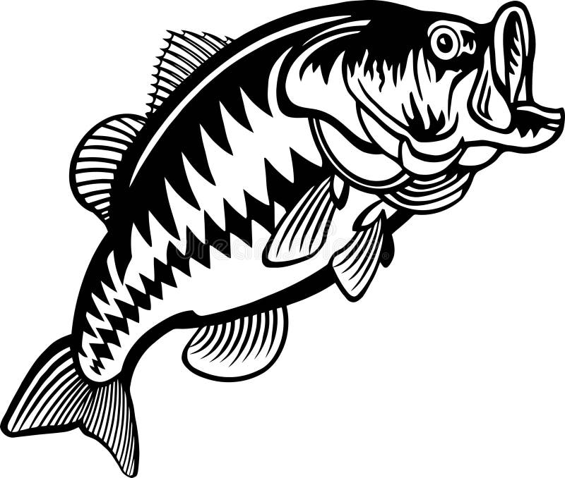 Largemouth Bass American Fish Logo Stock Foto - Illustration of ...