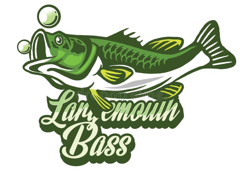 Largemouth Bass Isolated on White Background Stock Vector ...