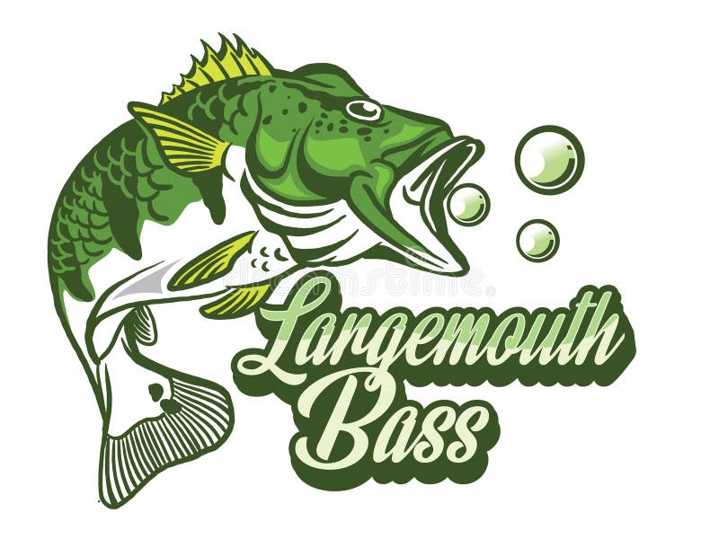 Largemouth Bass Isolated on White Background Stock Vector ...