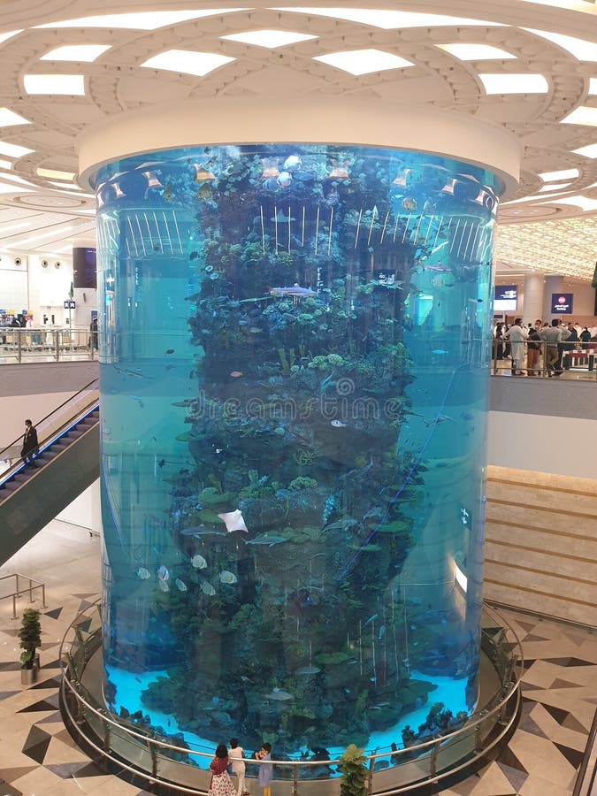 Largest Fish Bool in Jeddah Airport Editorial Photo - Image of light ...