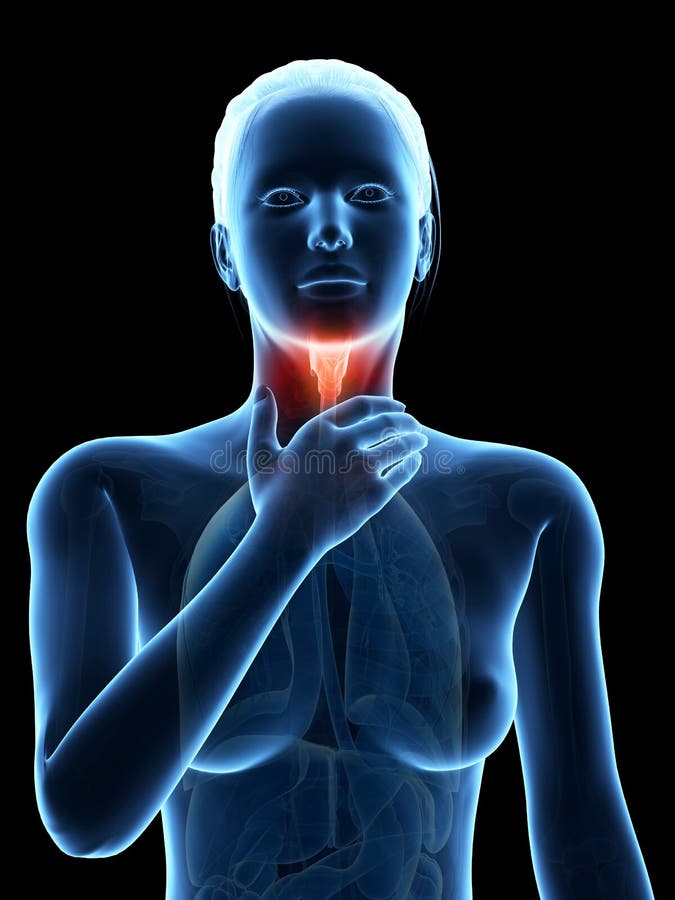 Laringe destacada stock de ilustración. Ilustración de inflamado - 39790591