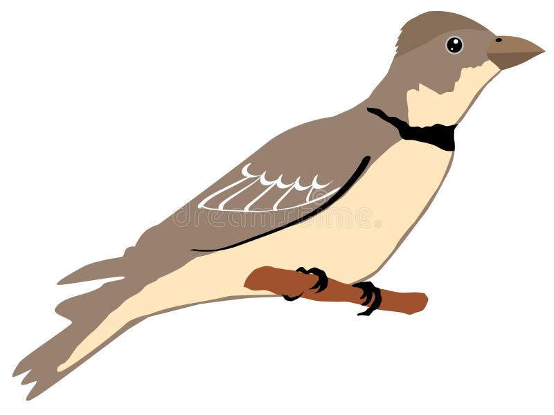 Lark stock illustration. Illustration of wildlife, lark - 102522570
