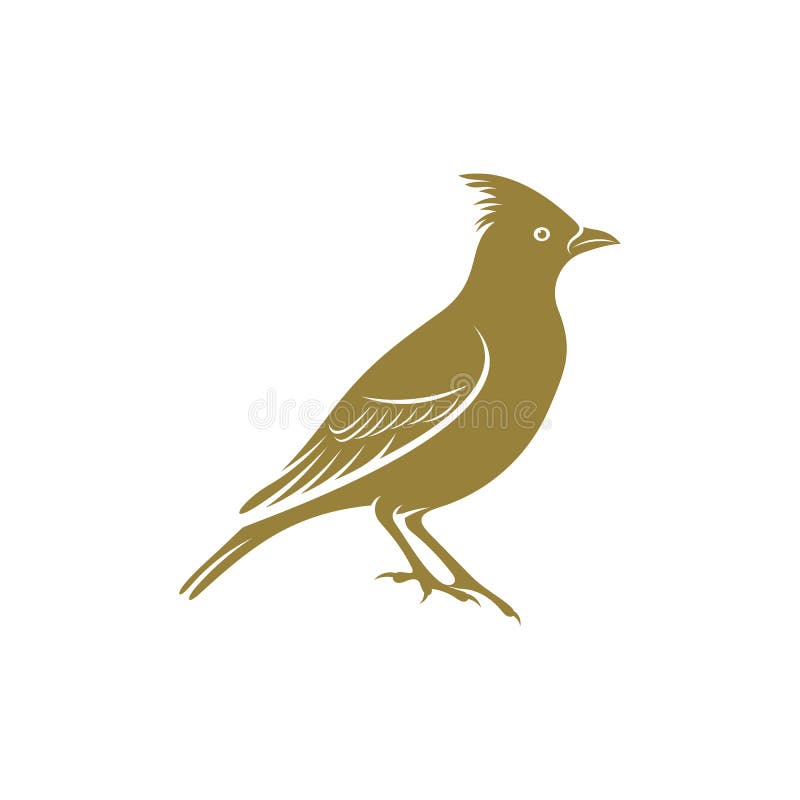 Lark Bird Design Vector Illustration, Creative Lark Bird Logo Design ...