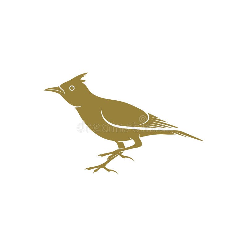 Lark Bird Design Vector Illustration, Creative Lark Bird Logo Design ...