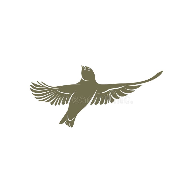 Lark Bird Logo Design Vector. Icon Symbol. Template Illustration Stock ...