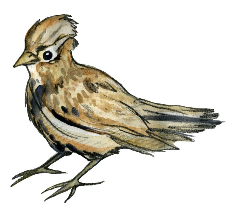 Lark Stock Illustrations – 733 Lark Stock Illustrations, Vectors ...