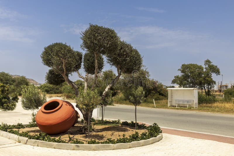 Larnaca, Cyprus, Landscape Featuring Uniquely Shaped Olive Trees ...