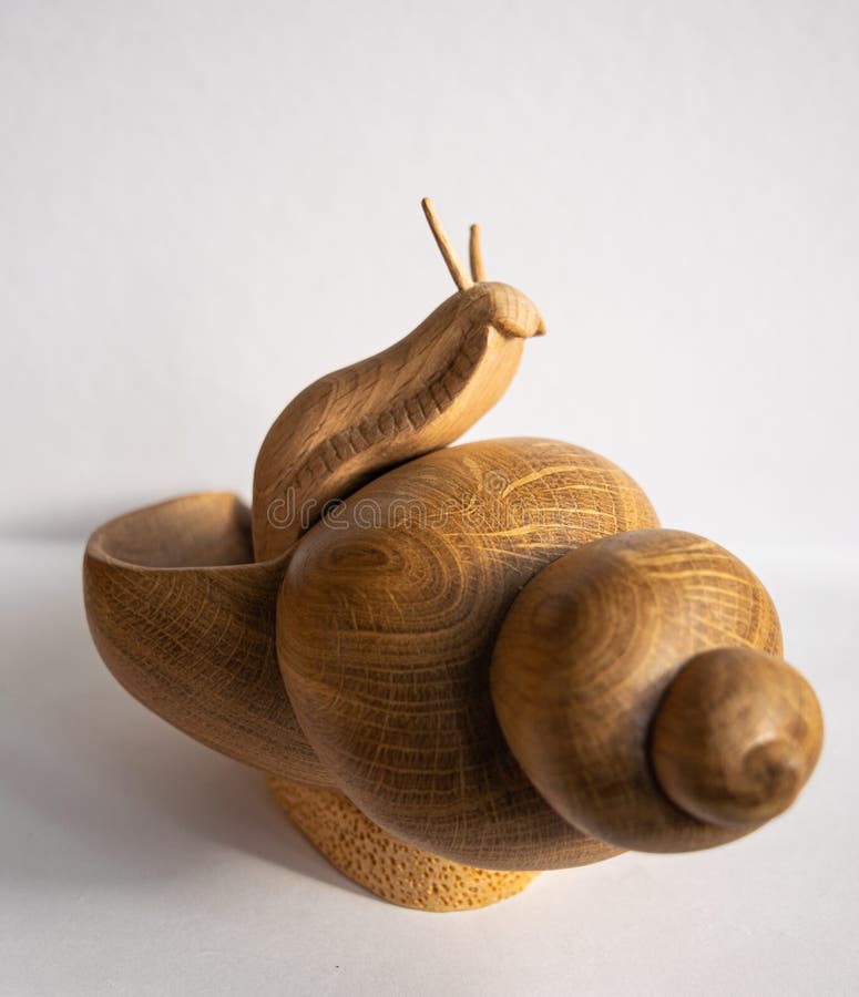 Larva on a Shell Made of Wood Stock Image - Image of actions, rivalry ...