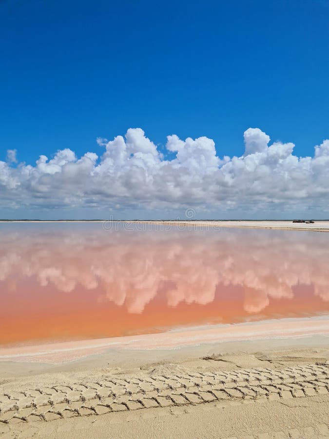 Las Coloradas Pink lake stock photo. Image of shore - 281141736