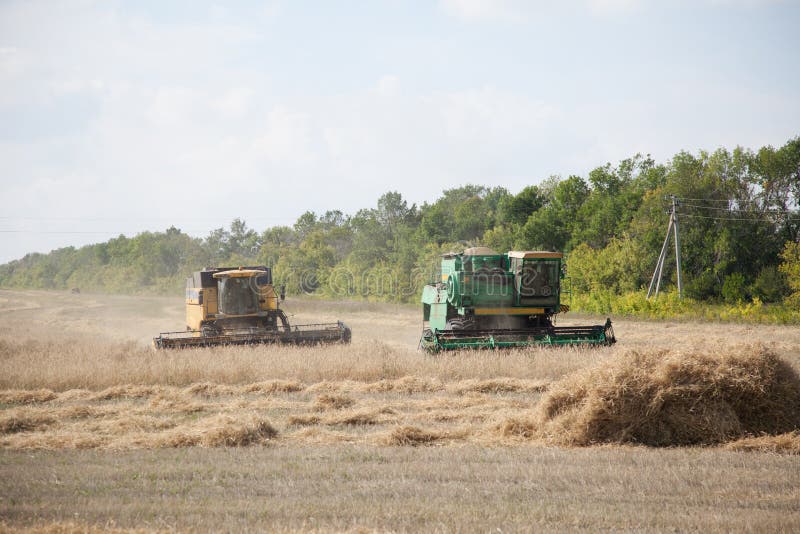 Las Cosechadoras a Cosechar En El Campo Foto de archivo - Imagen de ...