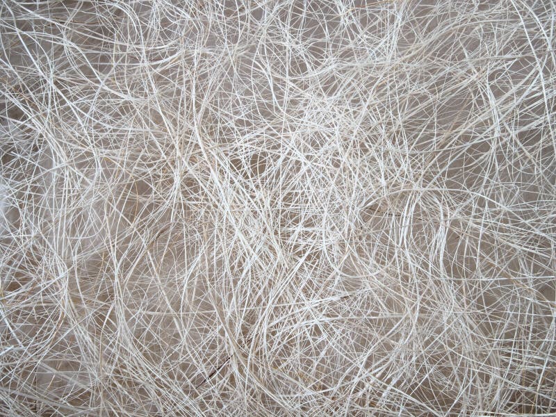 Las fibras de papel foto de archivo. Imagen de texturizado - 64151308