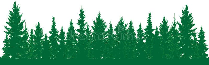 Młody Las Sosnowych I Jedlinowych Drzew Wektorowa Grafika Ilustracja ... Młody Las Sosnowych I Jedlinowych Drzew Wektorowa Grafika Ilustracja ...