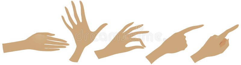 Las Manos Vector El Sistema Ilustración del Vector - Ilustración de ...