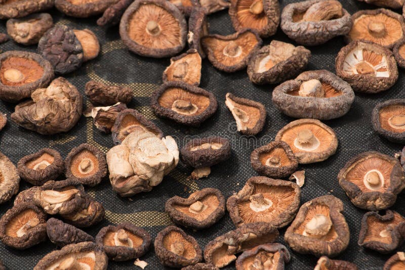 Setas Chinas Fotos De Stock - Descarga 517 Fotos Libres de Derechos