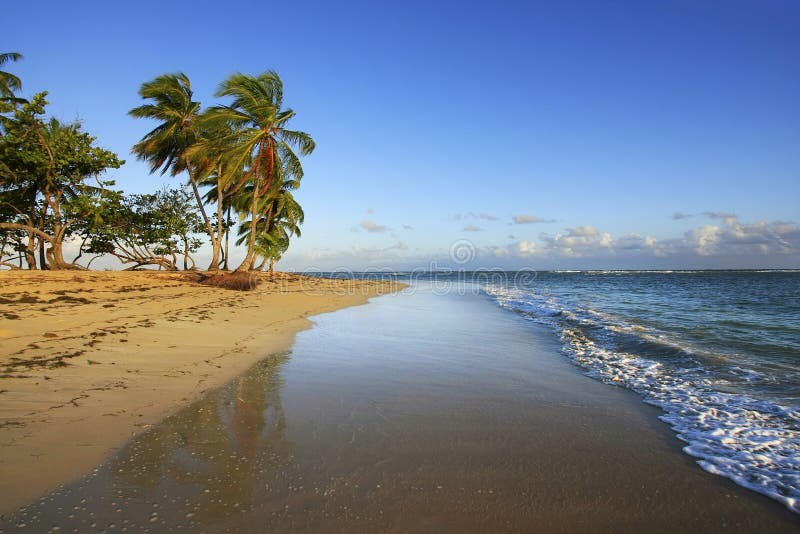 Las Terrenas Beach, Samana Peninsula Stock Photo - Image of sand ...