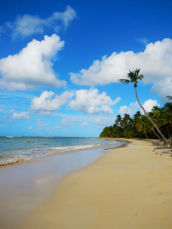 Las Terrenas Beach, Samana Peninsula Stock Image - Image of scenery ...