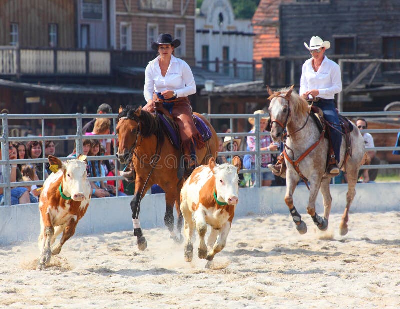 La Vaquera En Una Competencia Roping Del Becerro. Foto de archivo ...