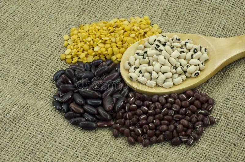 Las Varias Legumbres Secas Clasificadas Imagen de archivo - Imagen de ...