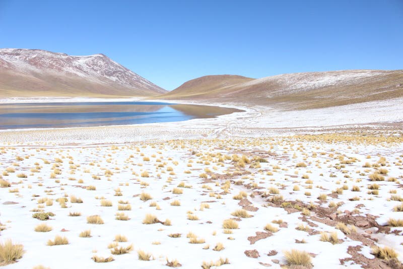 Lascar Volcano stock photo. Image of chile, travel, region - 91426772
