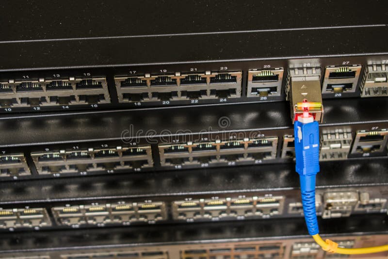 Optical Module and a Bundle of Optical Fibers Connected To a Central ...