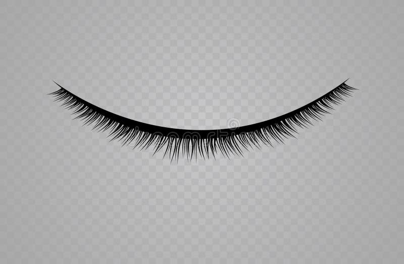 Eyelashes Transparent Stock Illustrations – 289 Eyelashes Transparent ...