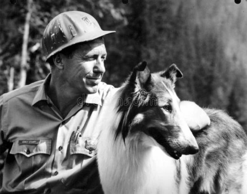 Lassie With Actor Robert Bray - Florida Picture. Image: 221436185