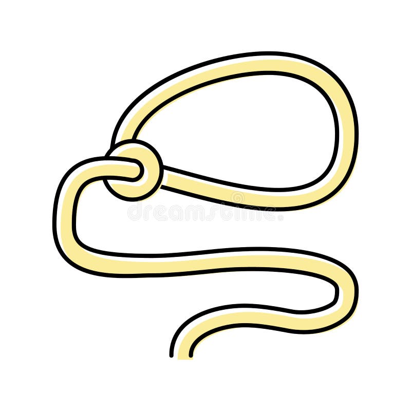 Lasso Accessory Color Icon Vector Illustration Stock Vector ...