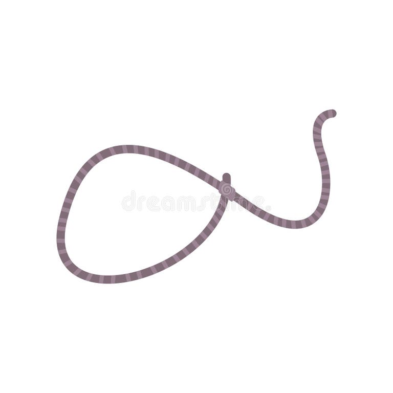Lasso Forming a Loop Isolated on White Background Stock Vector ...
