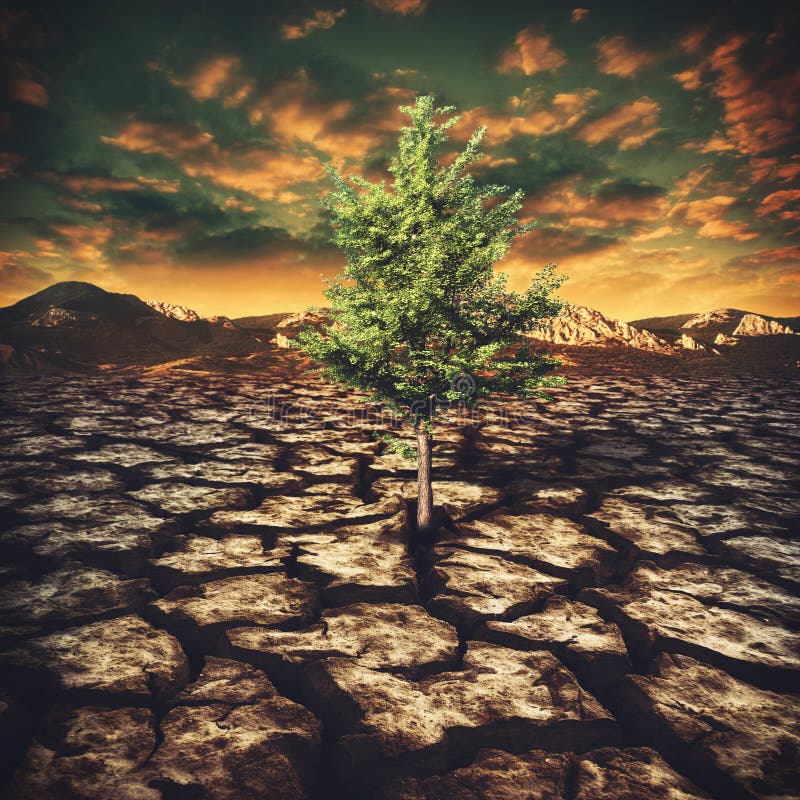 Last Hope, Abstract Environmental Backgrounds Stock Photo - Image of ...