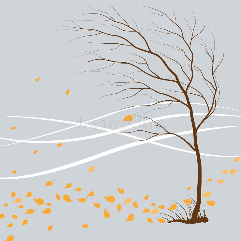 Last_leaf stock vector. Illustration of forest, leaf - 33397821