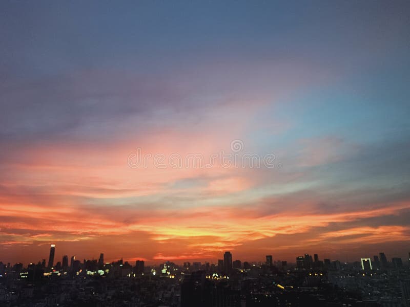 Last light of the day stock photo. Image of reeds, sunset - 83620260