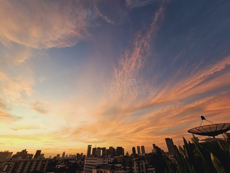 Last light of the day stock photo. Image of reeds, sunset - 83620260