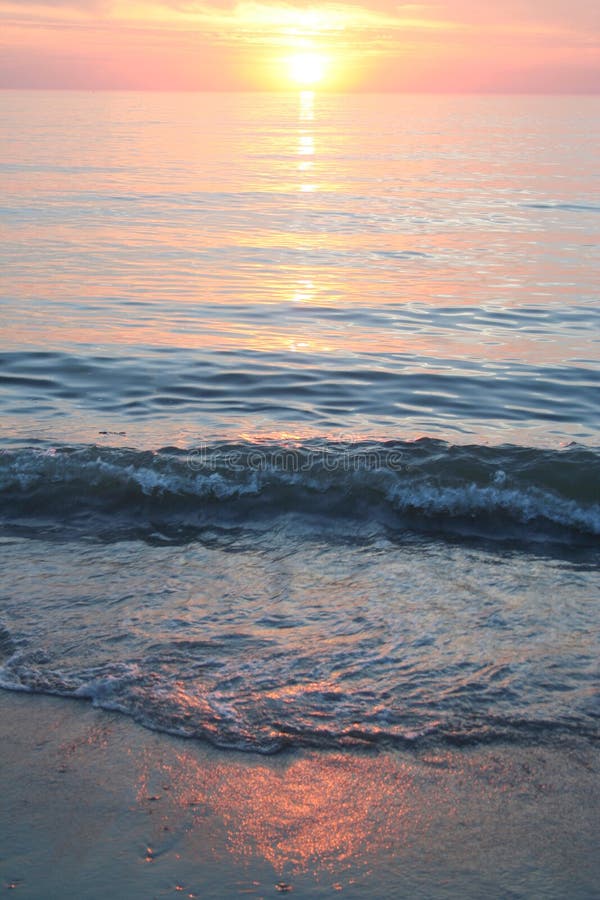 Last minute stock image. Image of merry, last, beautiful - 871223