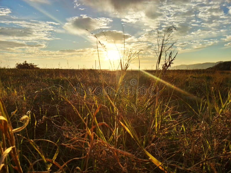 Last minute light ray stock photo. Image of light, sunset - 89231016
