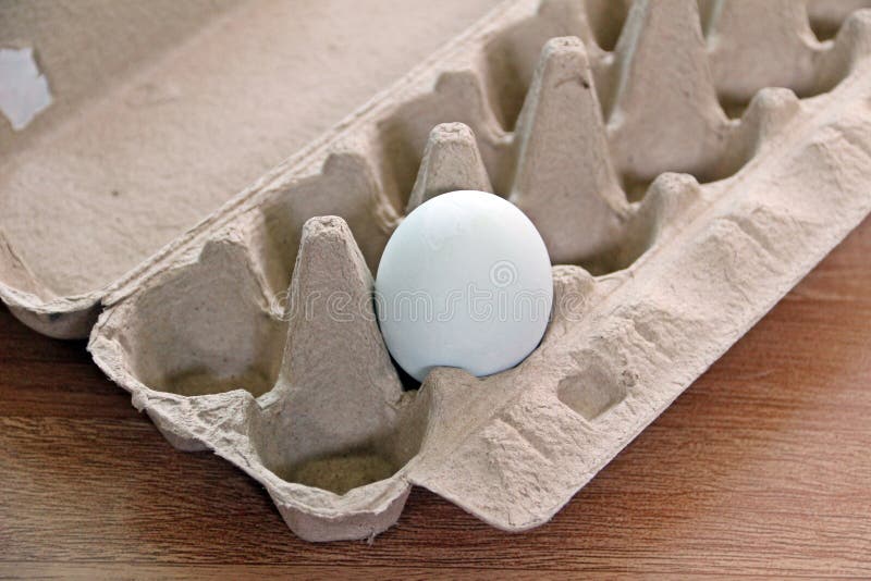 Last precious food in pack stock image. Image of eggbox - 177186893