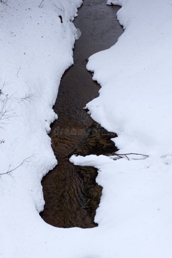 The Last Snow on the Ground Near the Brook Water Streams in the Forest ...