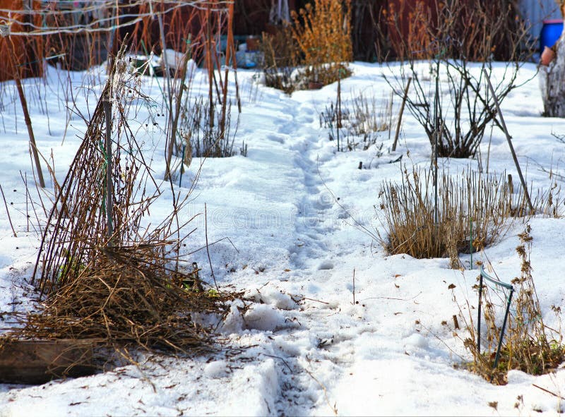Last Spring Snow Melting on the Sun Stock Photo - Image of sunny ...