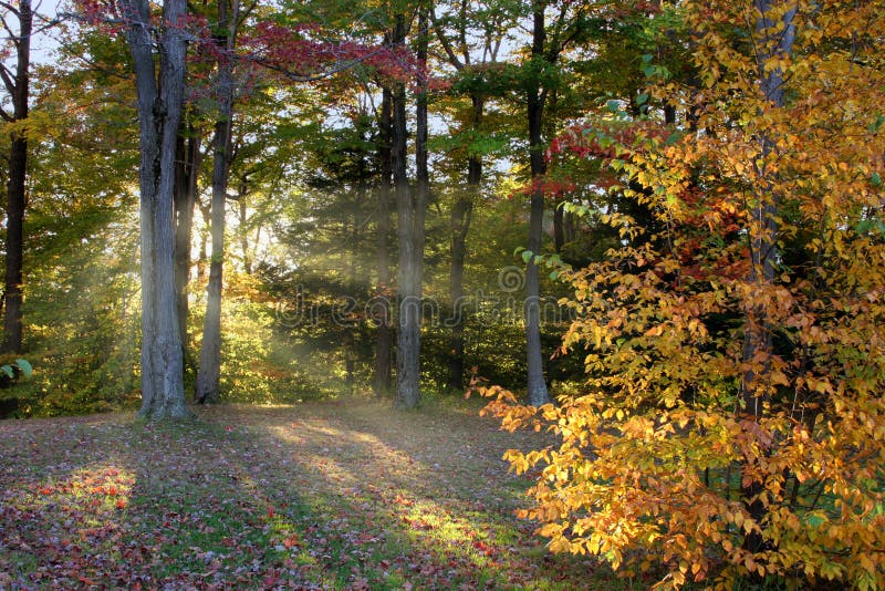 Late Afternoon Autumn Adirondack Mountain Vista Stock Photo - Image of ...
