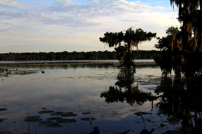 Late afternoon lake scene stock image. Image of lake - 95944161