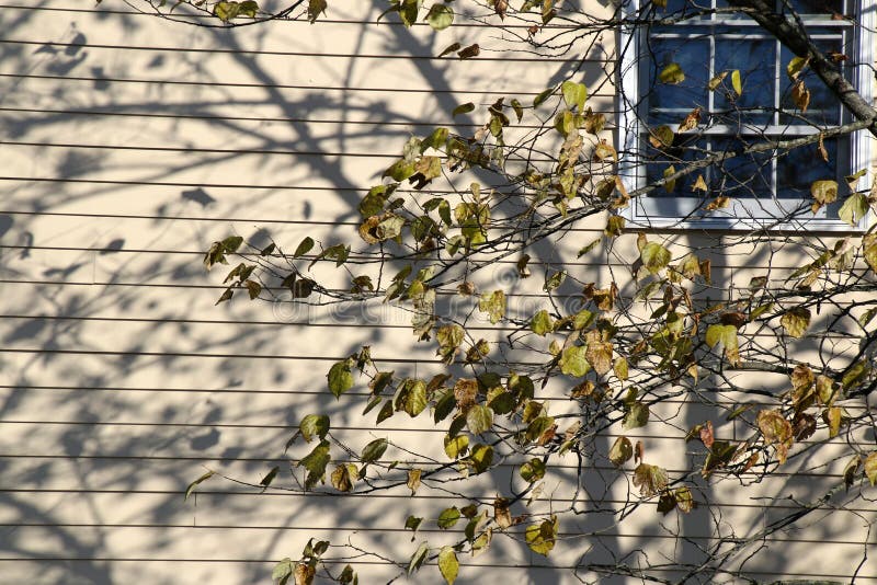 The Late Afternoon Sun Casts a Shadow on the Building. Stock Photo ...