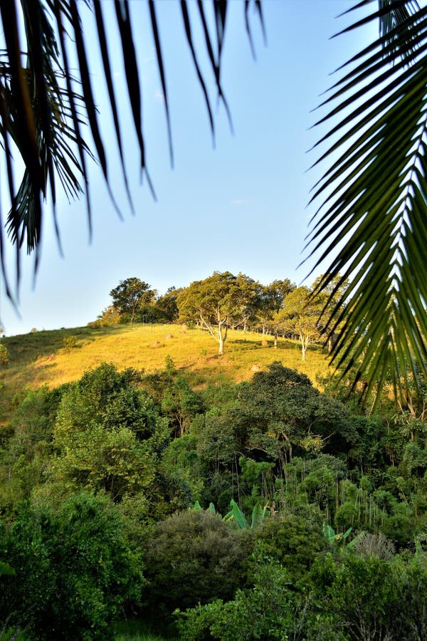 Sun Hitting the Hill in the Field Stock Photo - Image of hill, growing ...