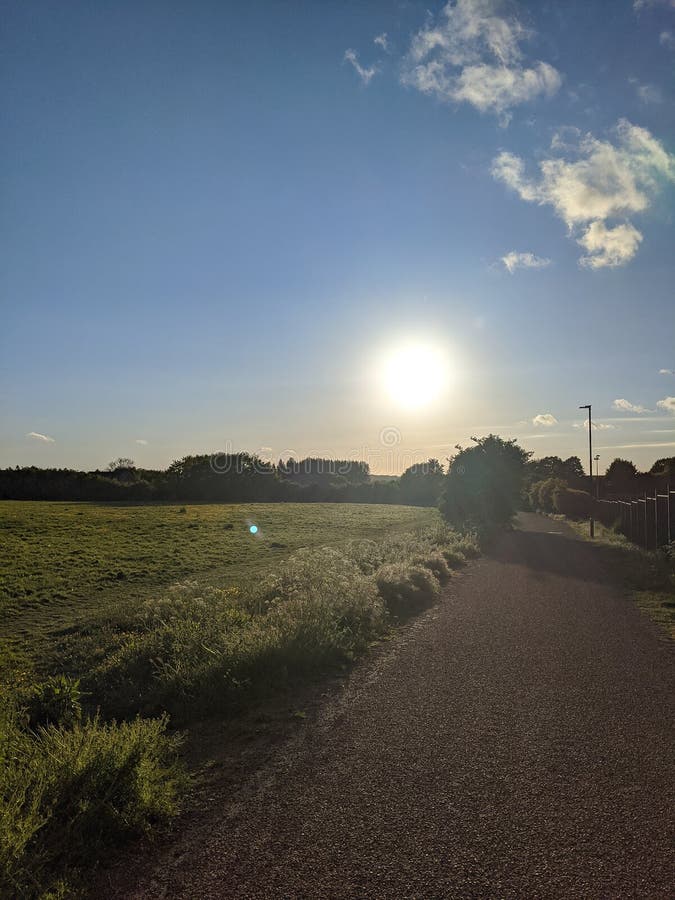 Late afternoon sunset stock image. Image of grass, rural - 183953307
