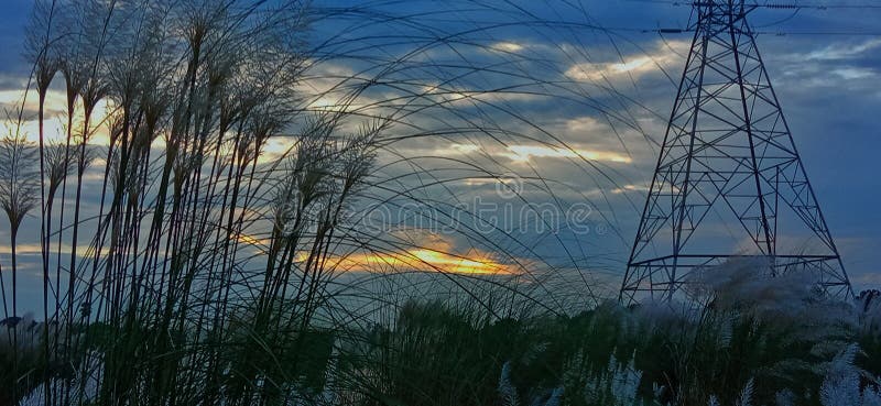 Late Afternoon Time stock photo. Image of rural, afternoon - 231551644