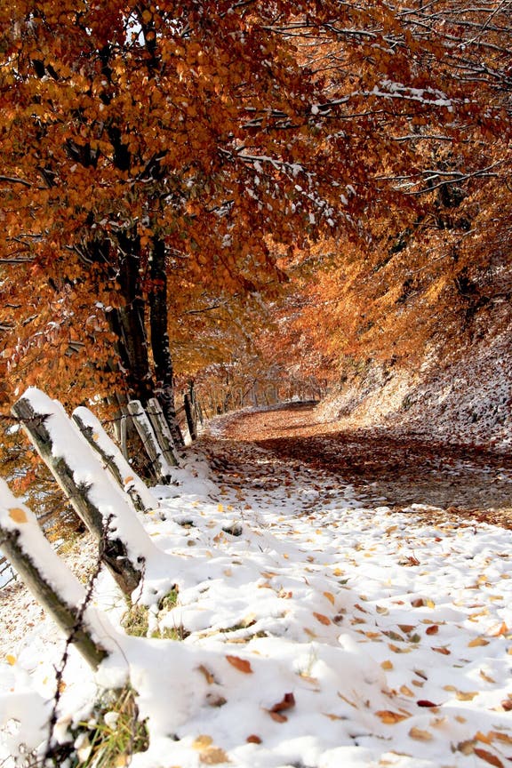 Late autumn in contry side stock photo. Image of colored - 16154734