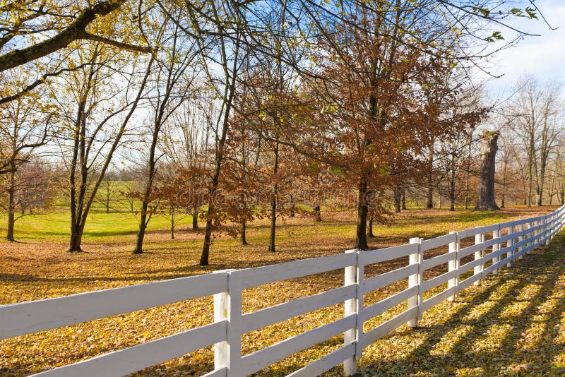 Late Autumn at Countryside. Stock Image - Image of vibrant, countryside ...